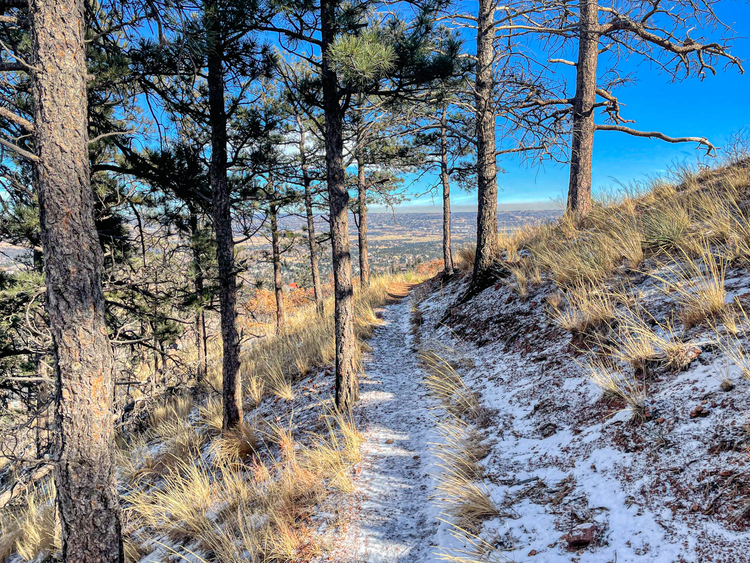 Xero Shoes Mesa Trail Review | Ruin Your Knees