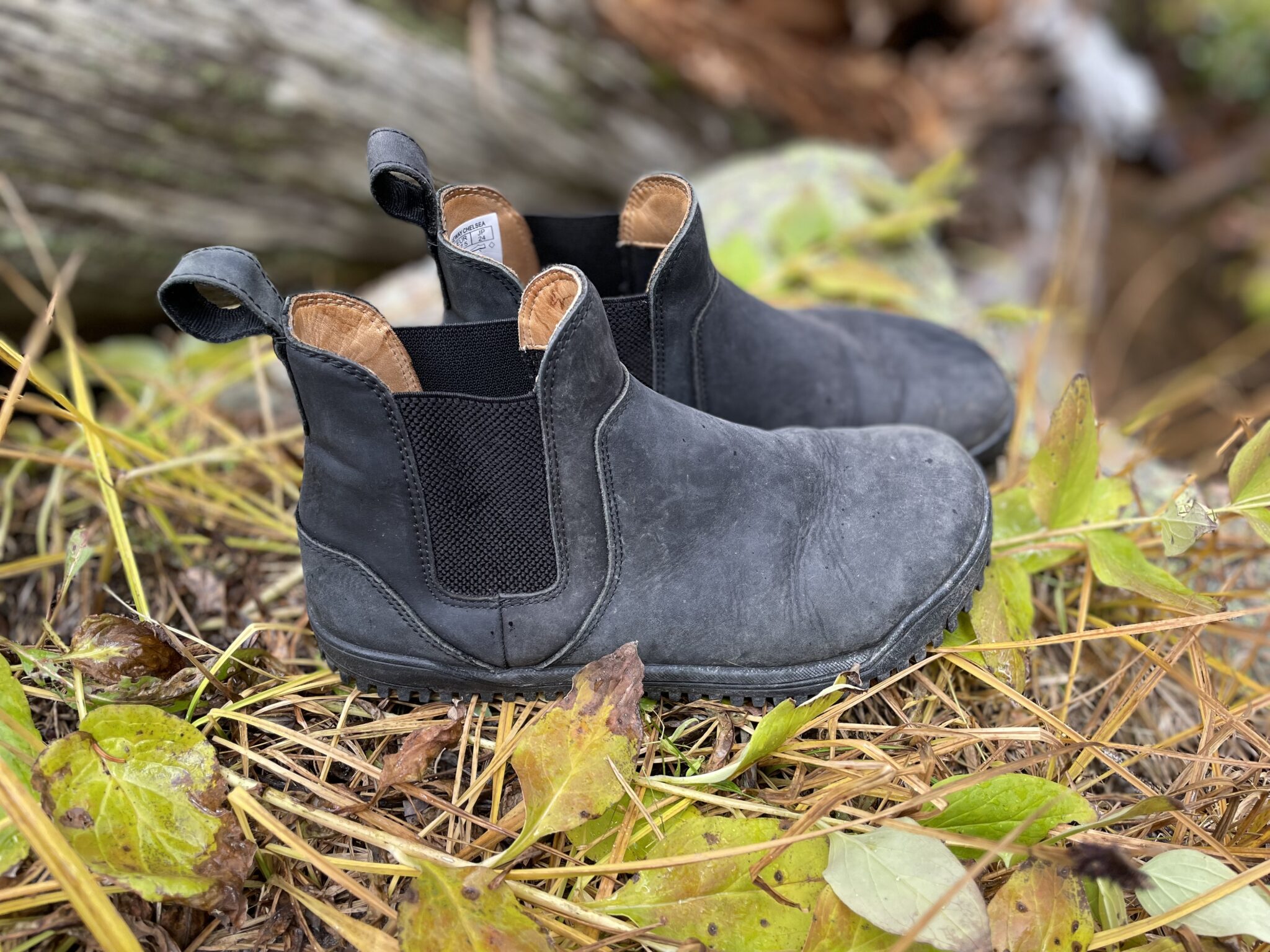 Xero Shoes Ridgeway Chelsea Boot Review | Ruin Your Knees